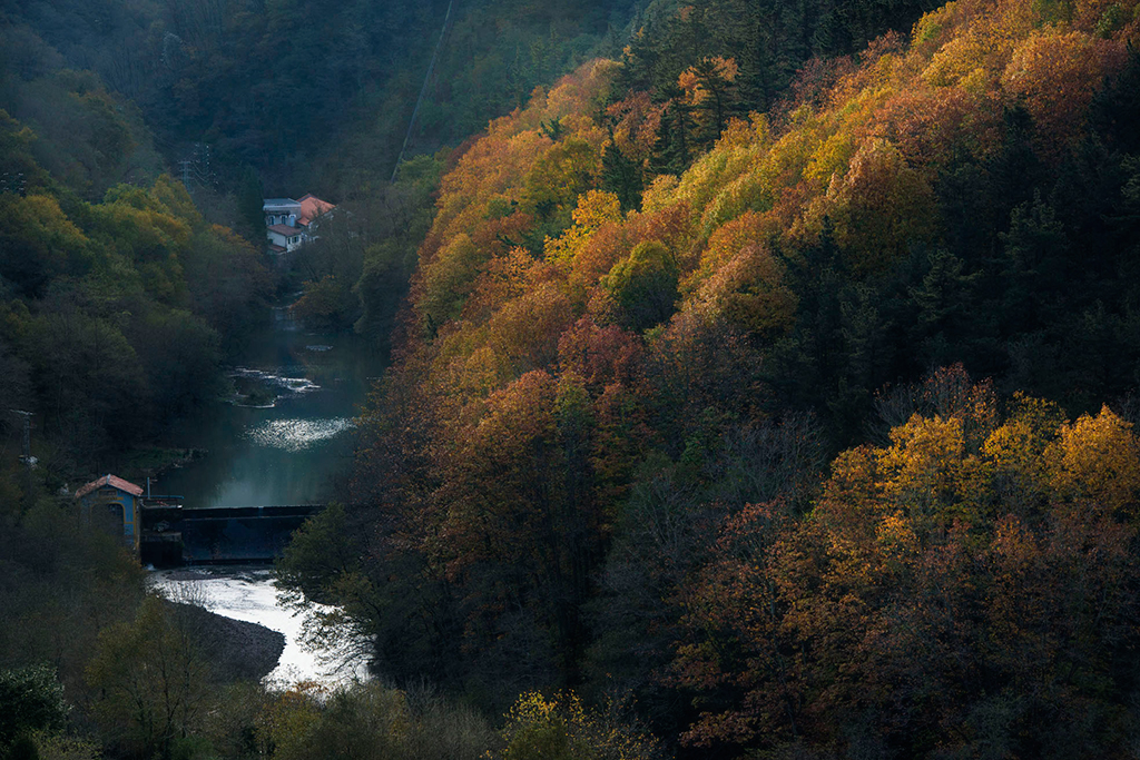 leitzaran-basoa - Leitzaran Bisitarien Etxea